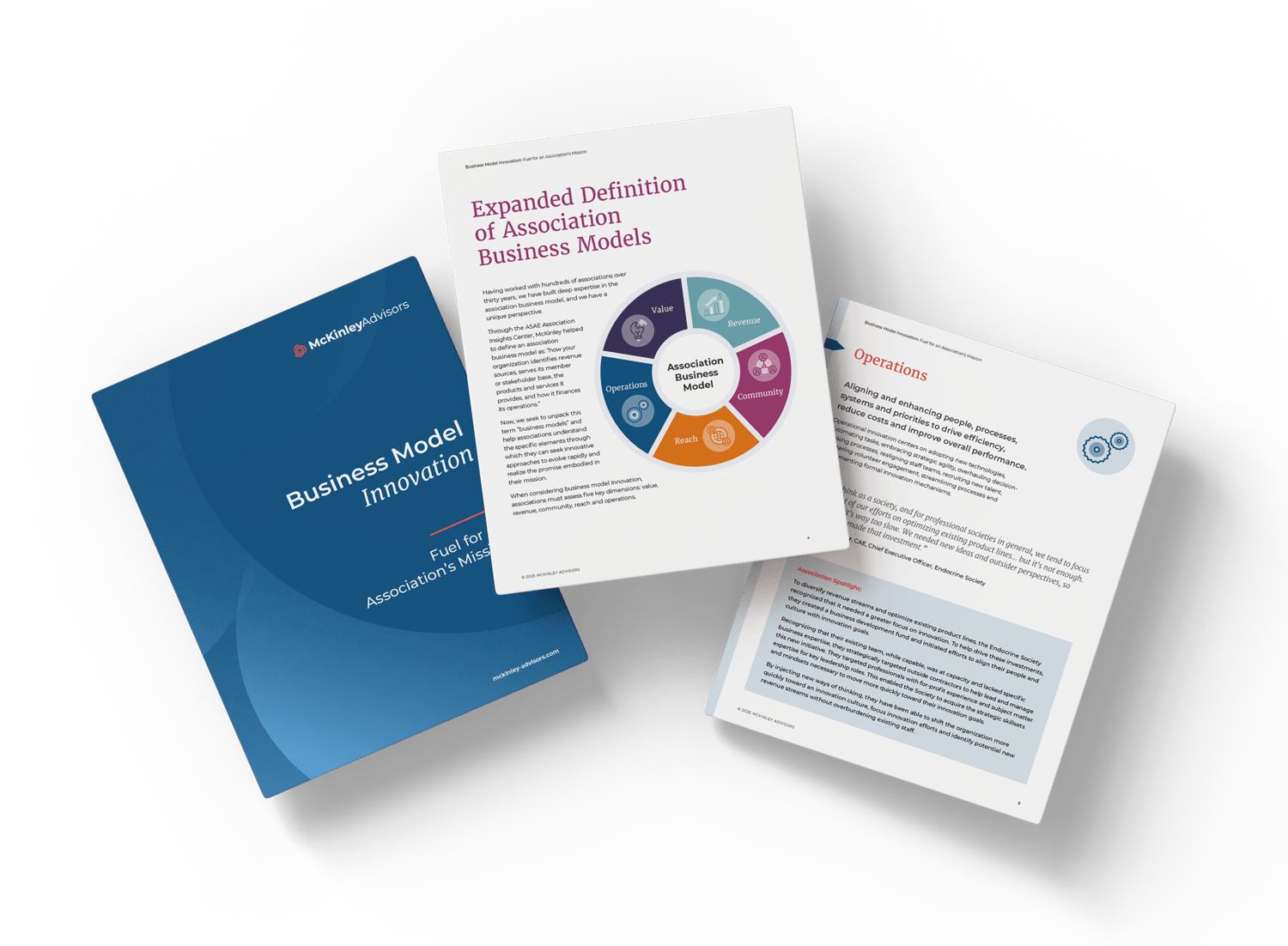 Business Model Innovation | McKinley