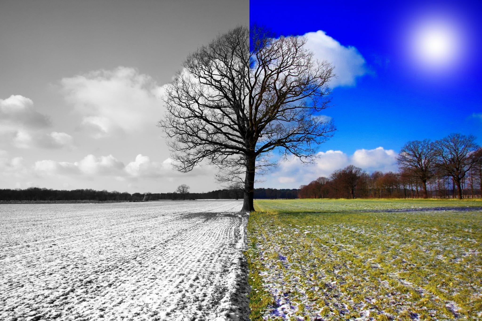Your season for change management